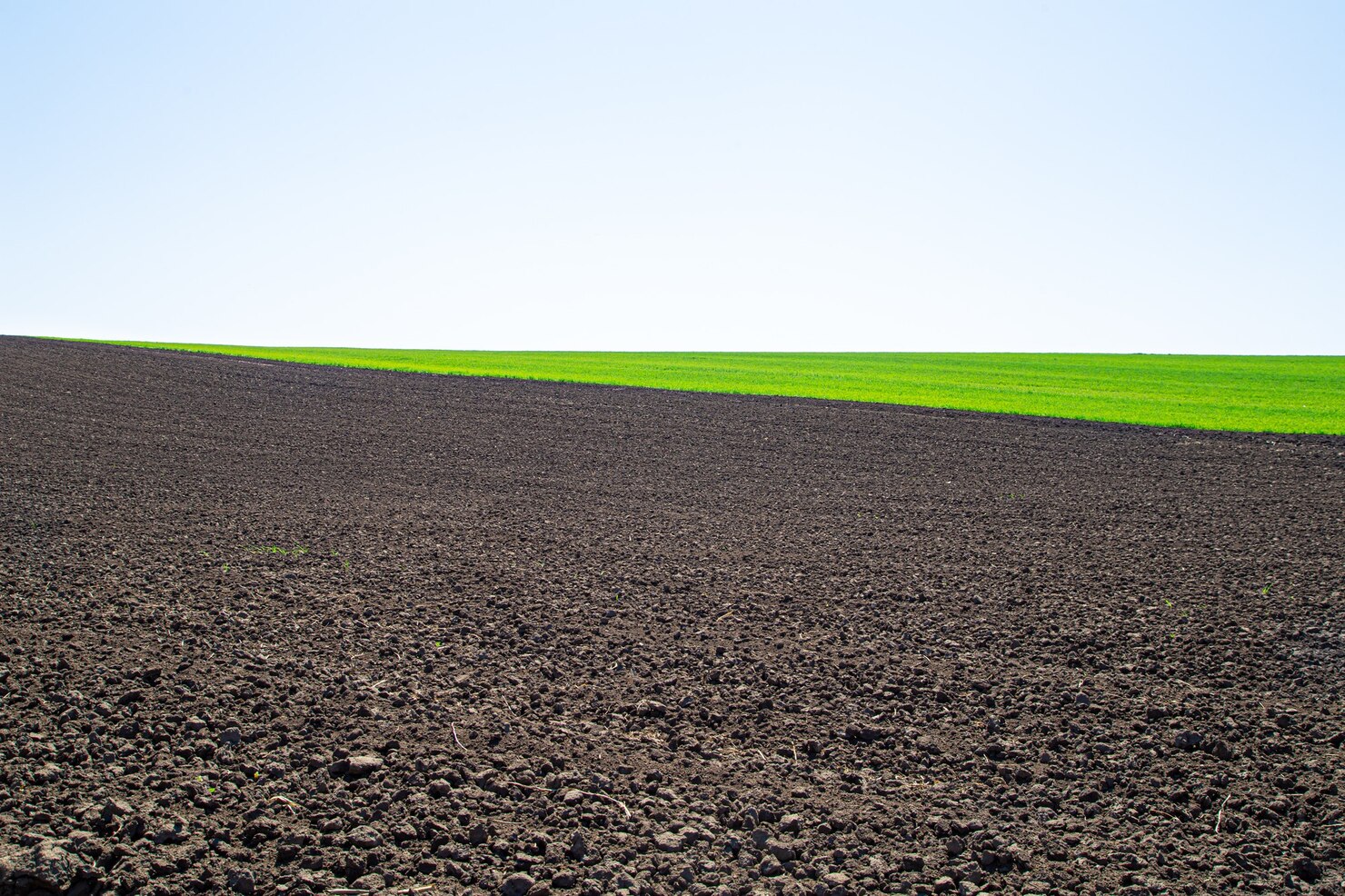 Humic and Fulvic Acids in Soil - EZ Custom Ag